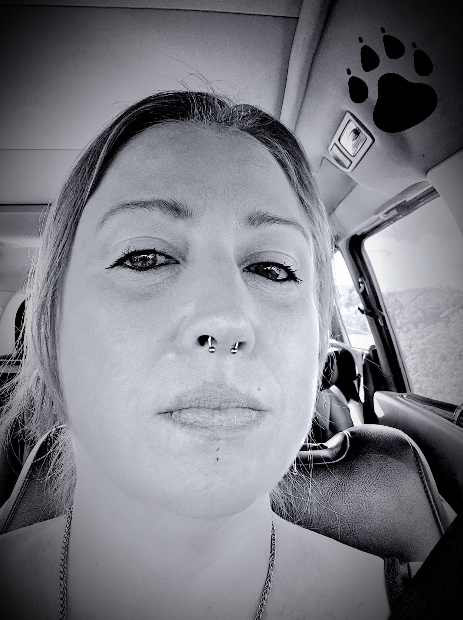 Kristy Williamson | Broken Halo Rescue UK