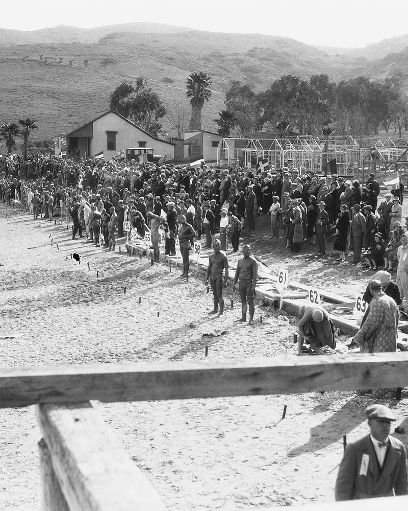 The Triumph of Endurance: The Historic Swimming Competition in Catalina ...
