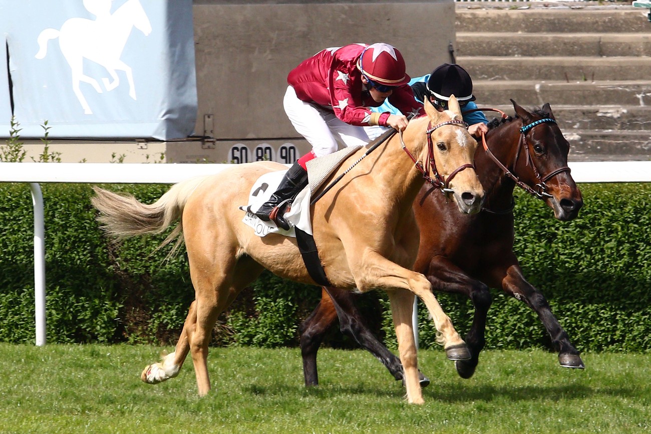 Courses de Poneys au Galop en France