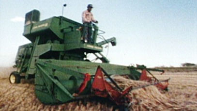 Harvest | David Grubin Productions