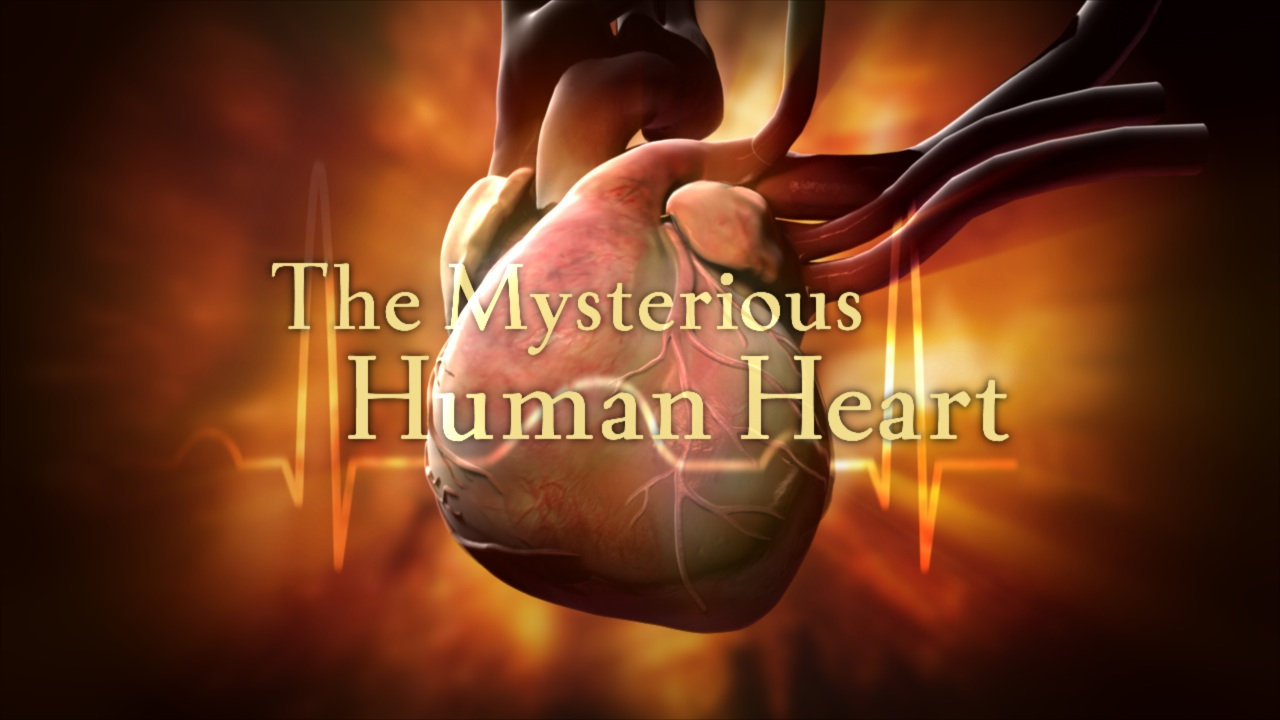 The Mysterious Human Heart | David Grubin Productions