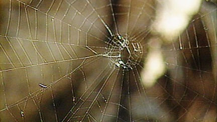 Facing Evil | David Grubin Productions