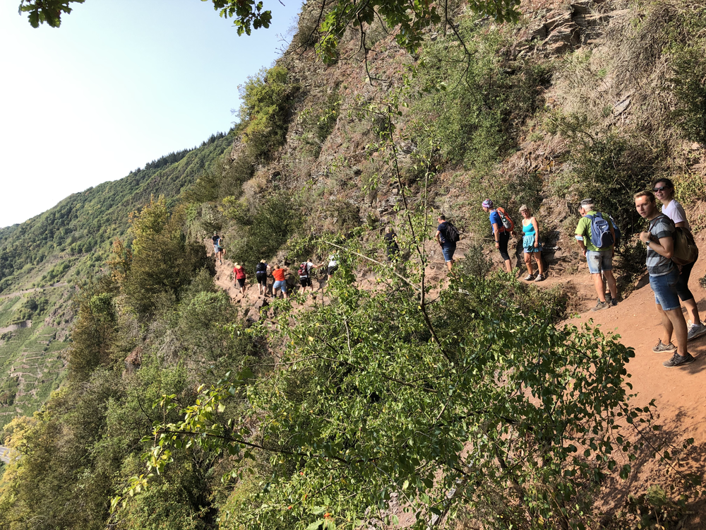 Wandern an der Mosel: Calmont Klettersteig- der steilste Weinberg Europas!