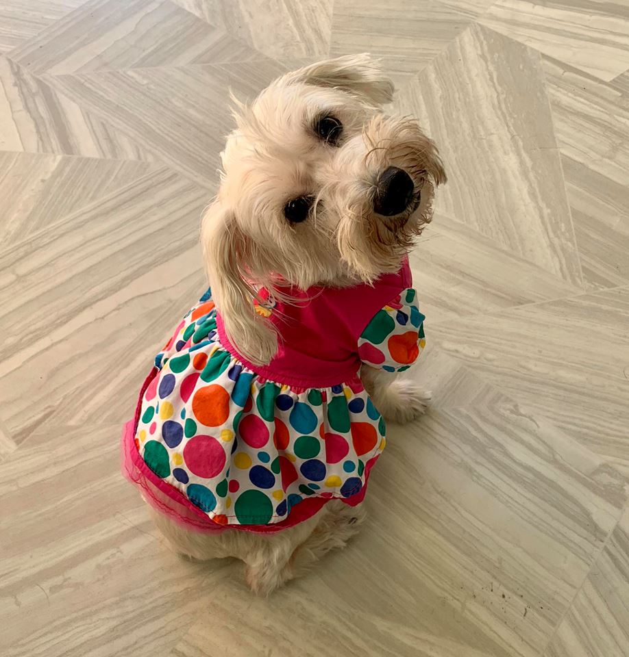 Hope for Life Rescue