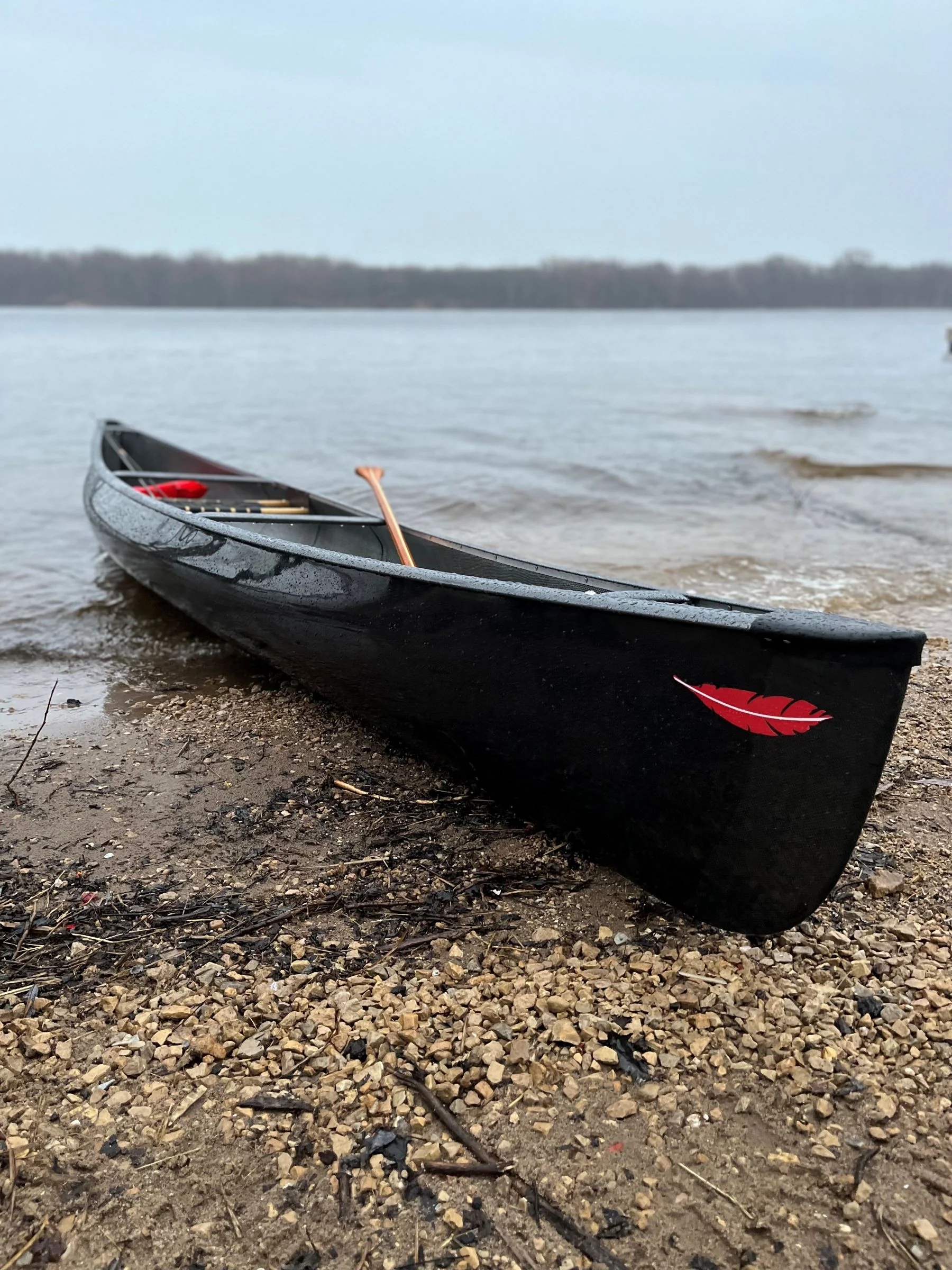 PADDLE | Great Blue Heron Outdoors