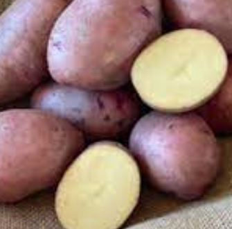 mondak-gold-potatos