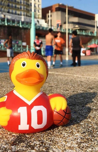 Home | The Duck House Brighton | Rubber Duck Shop