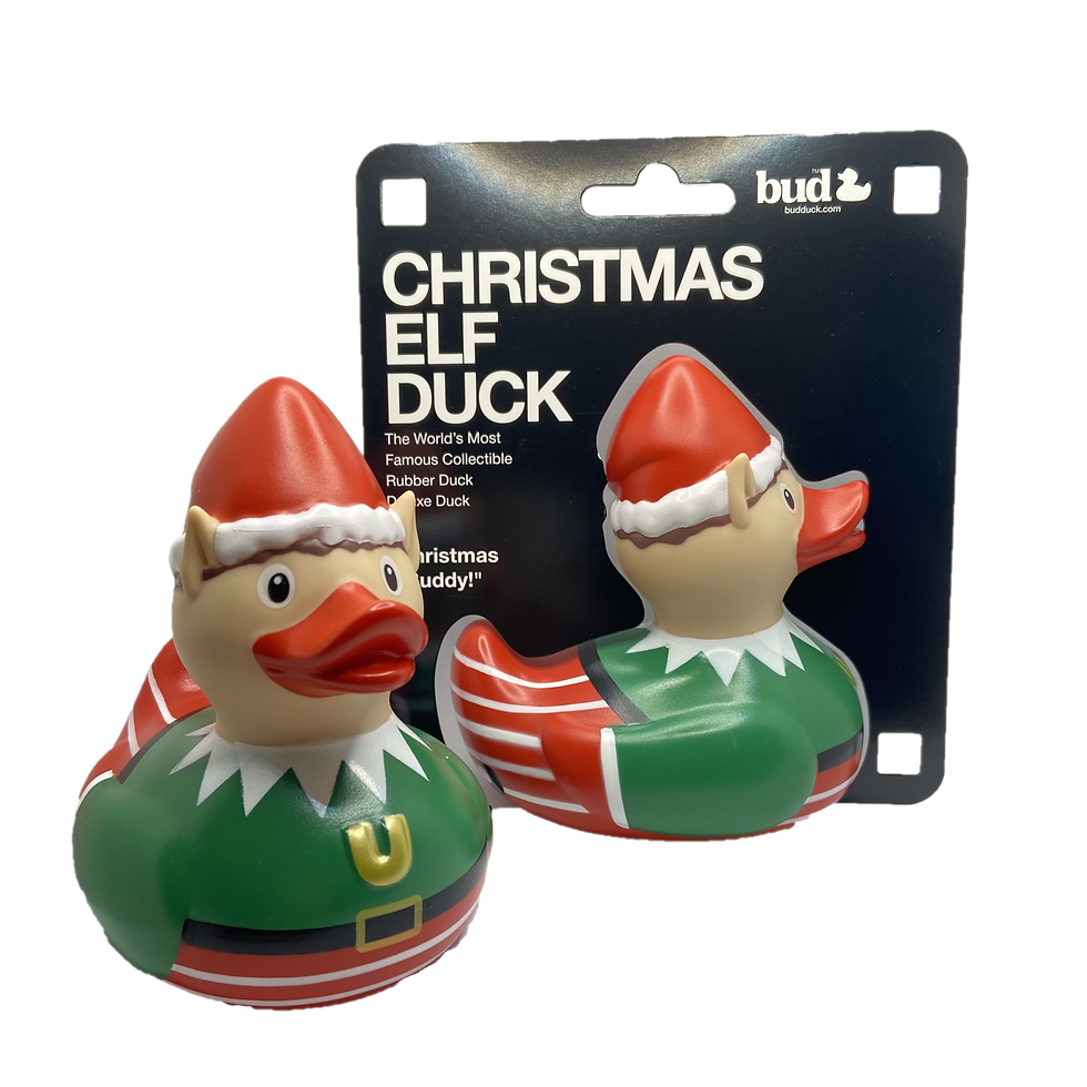 Home | The Duck House Brighton | Rubber Duck Shop