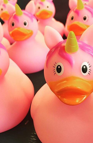 Home | The Duck House Brighton | Rubber Duck Shop