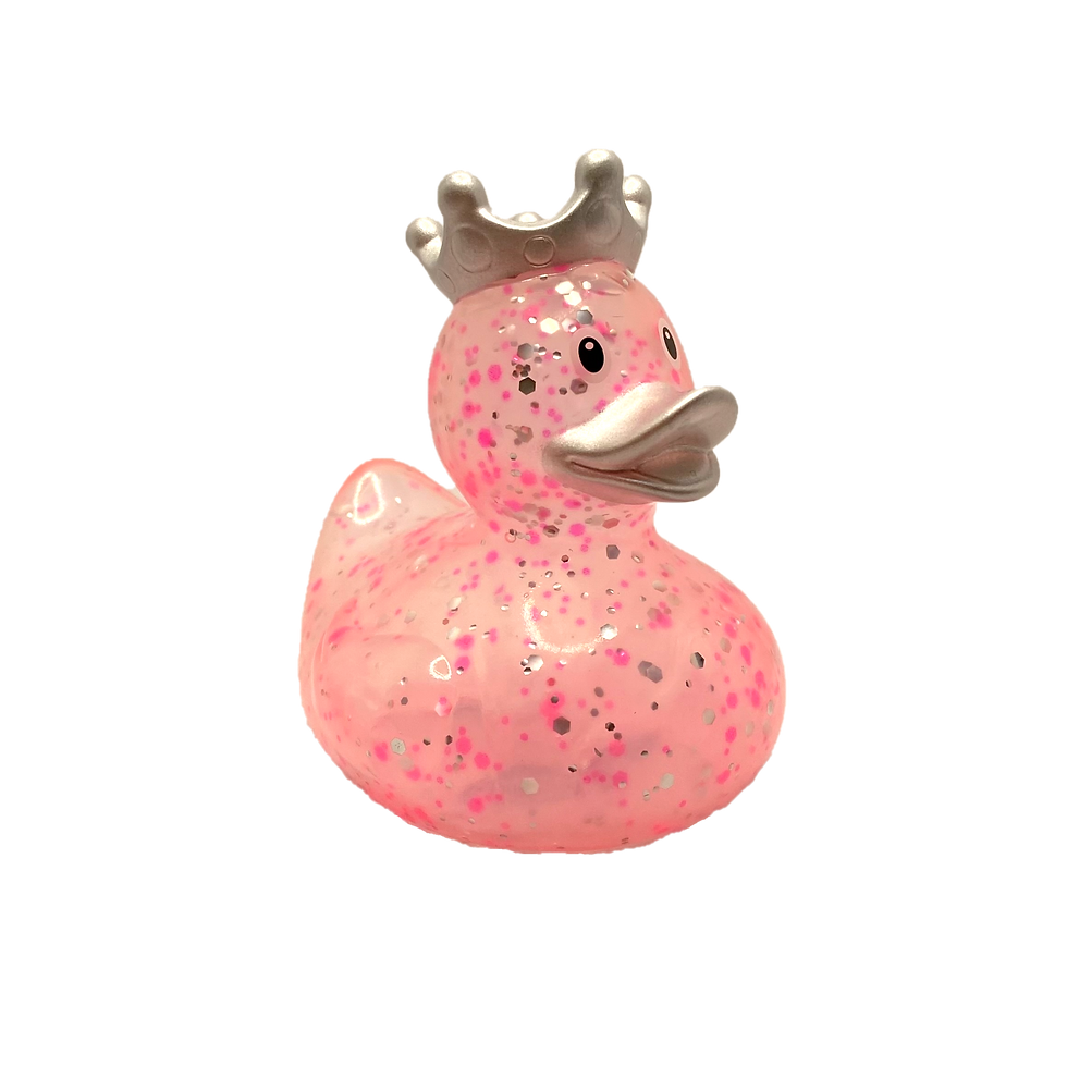 Home | The Duck House Brighton | Rubber Duck Shop