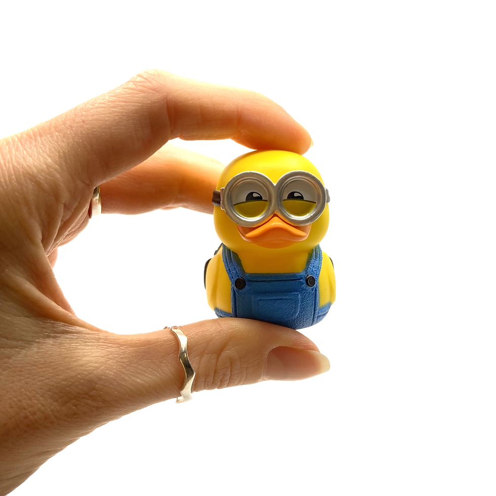 Home | The Duck House Brighton | Rubber Duck Shop