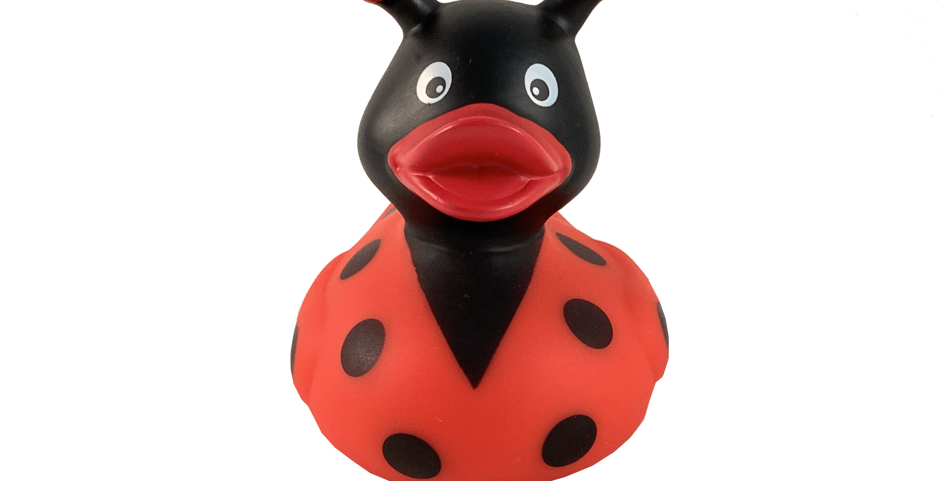 Ladybird Rubber Duck | duckhousebrighton