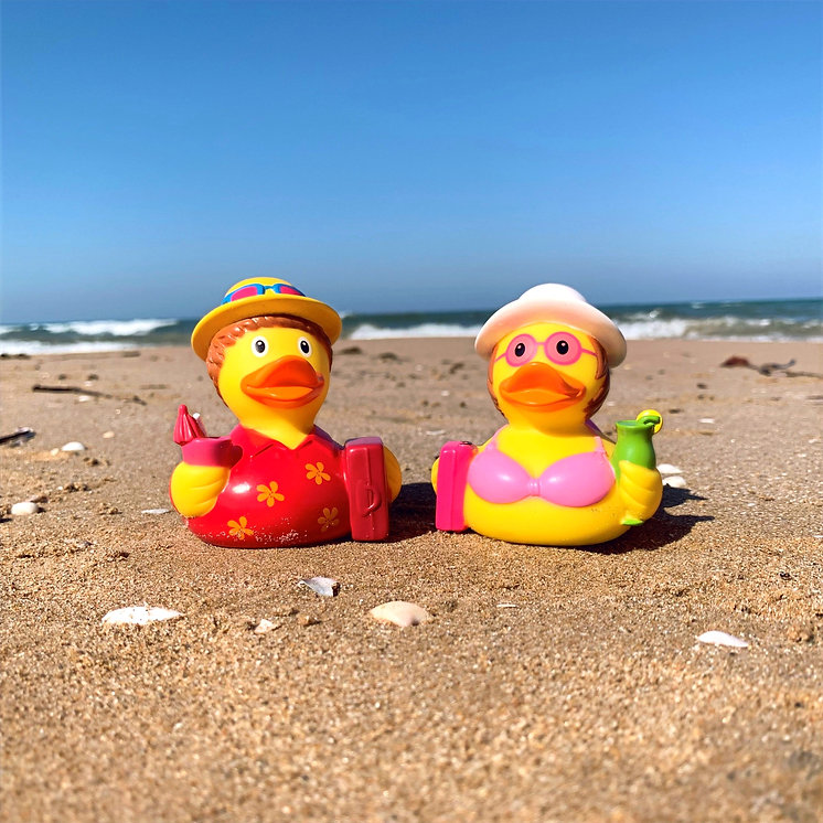 Home | The Duck House Brighton | Rubber Duck Shop