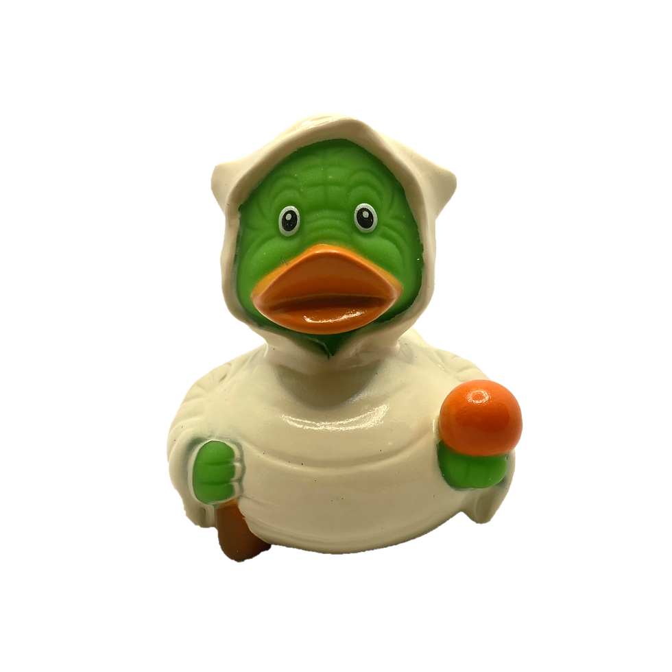 Home | The Duck House Brighton | Rubber Duck Shop