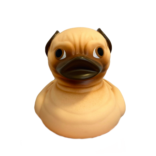 Pug Rubber Duck | duckhousebrighton