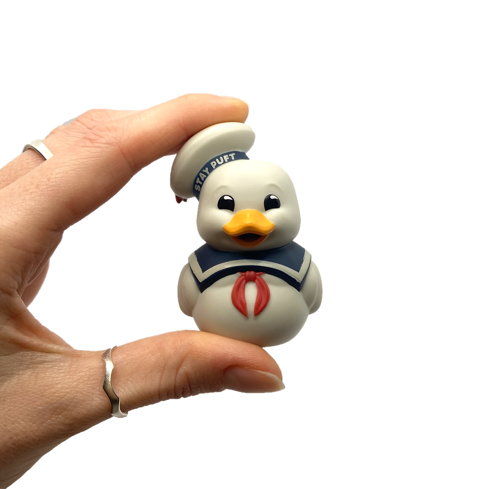 Home | The Duck House Brighton | Rubber Duck Shop