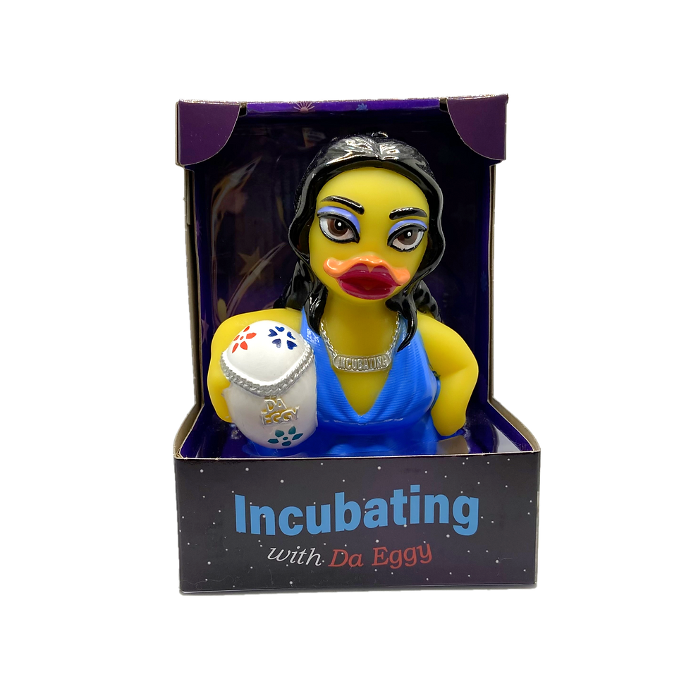 Home | The Duck House Brighton | Rubber Duck Shop