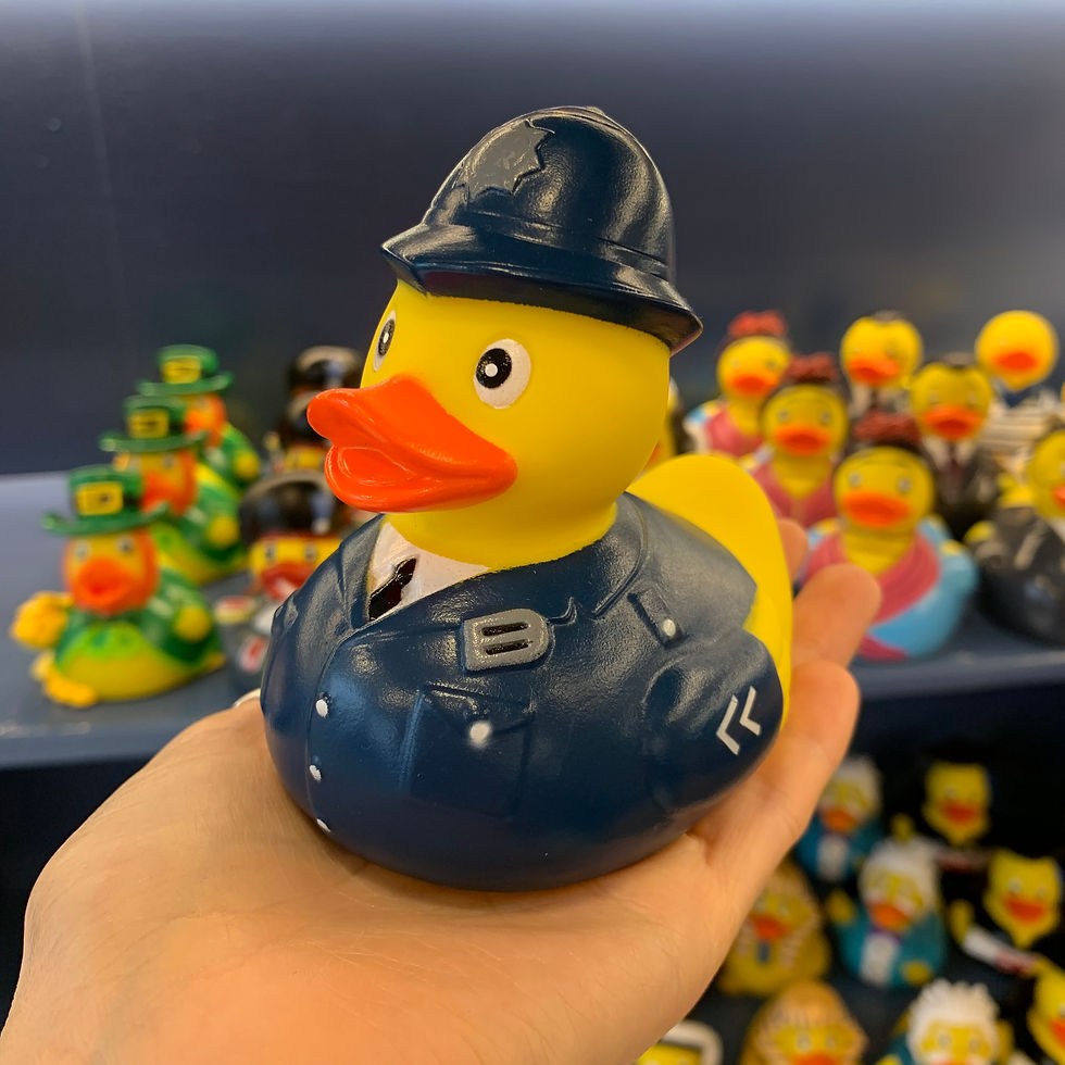 Public Figures, Icons and Landmarks | The Duck House Brighton