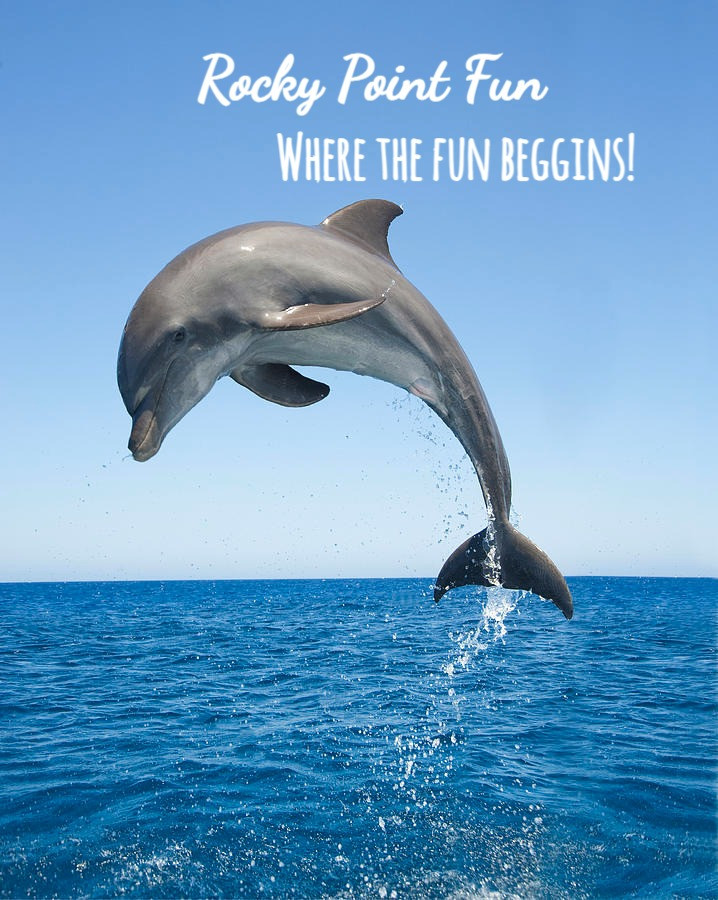 Rocky point fun rv rental | ''RV RENTALS IN ROCKY POINT MEXICO''