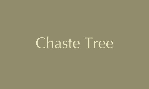 Chaste Tree Tea | The H Dispensary