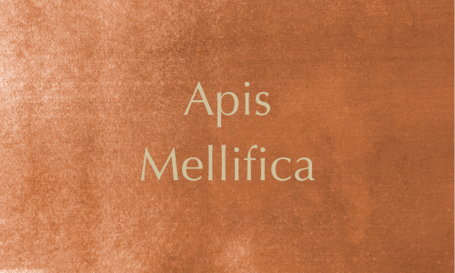 Apis Mellifica Homeopathic | The H Dispensary