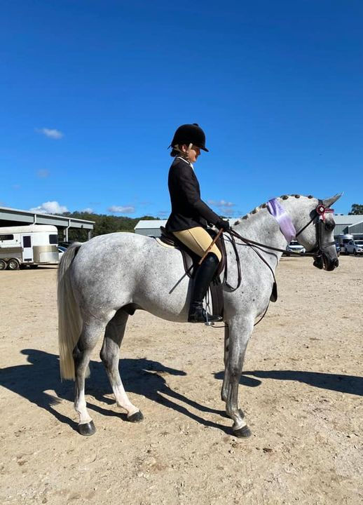 DOUBLE DIAMOND Arabian Showcase FEB 2021 : OSO Roundup!