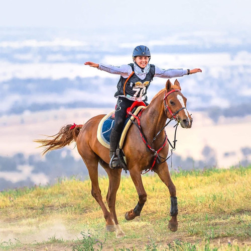AL MARAH HEYHO SILVER | OSO ARABIANS