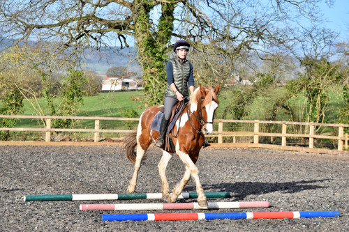 1 Hour Group Riding Lesson | Country Treks