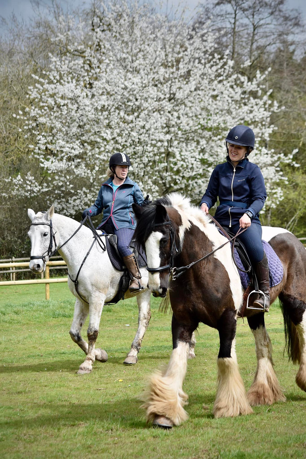 Meet the Horses | Country Treks