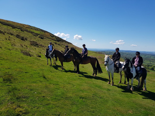 Horse Trekking (1 hour group hack) | Country Treks
