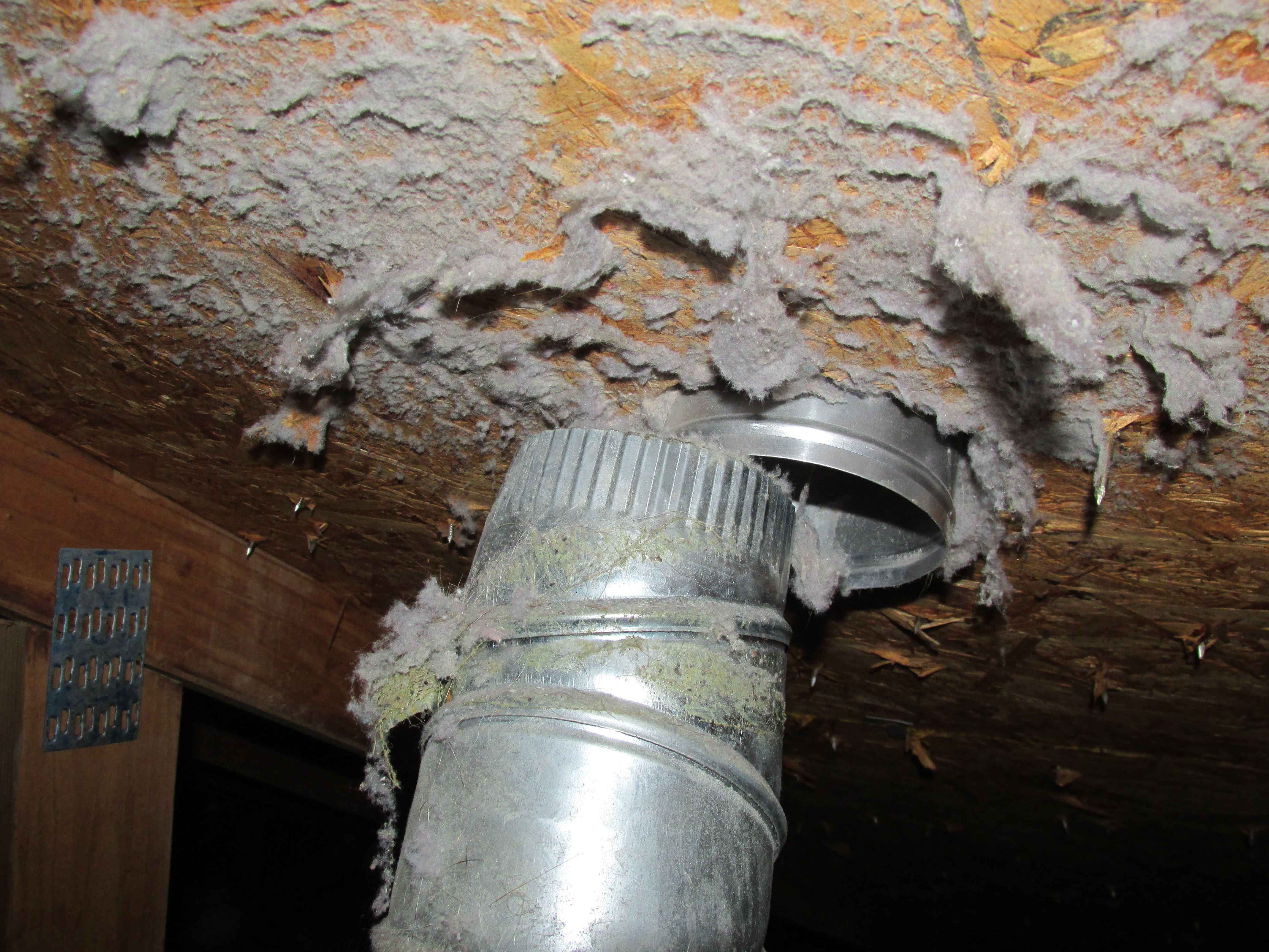 COMMON DEFECTS | coastalhomeinspect