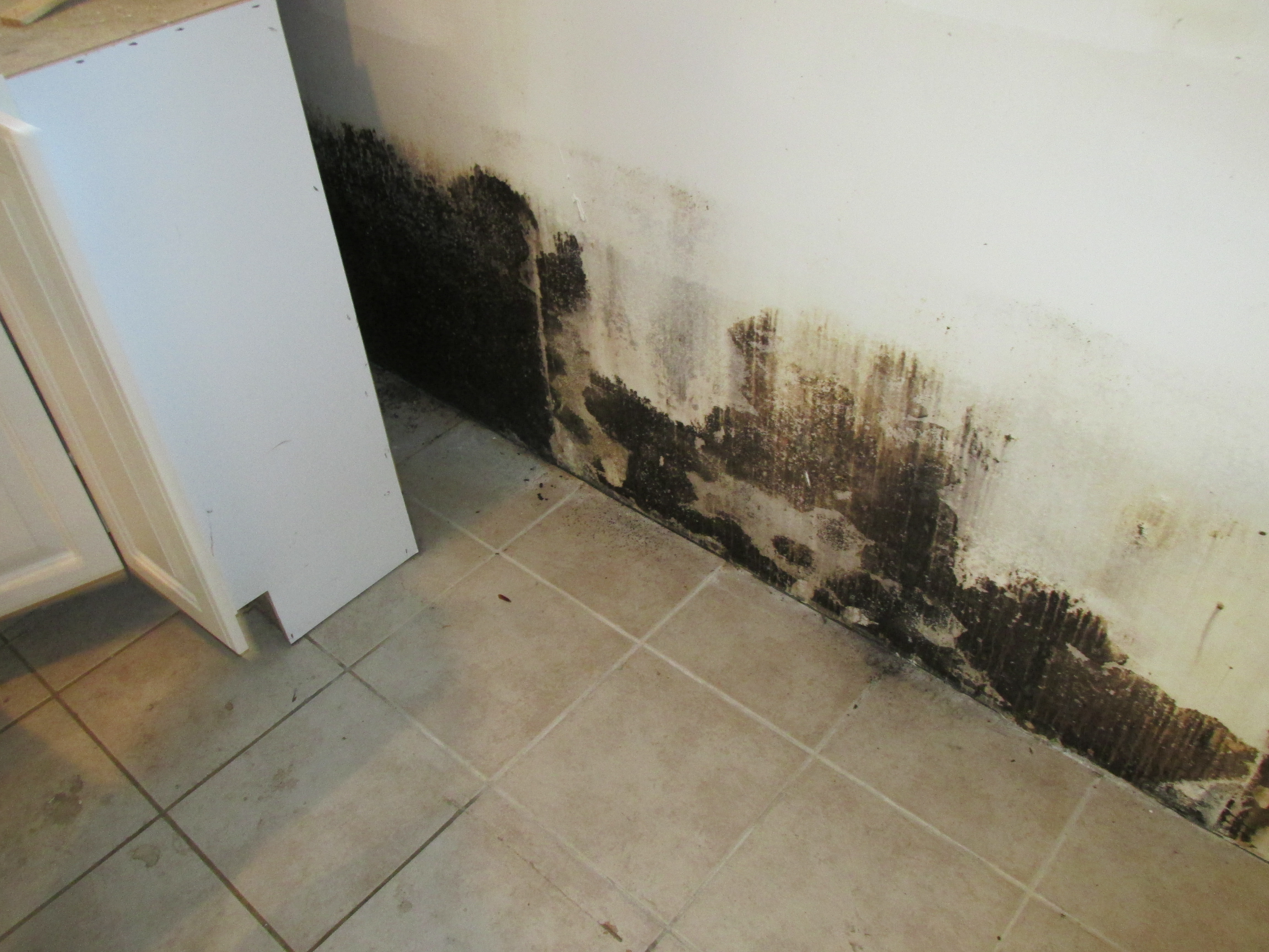 COMMON DEFECTS | coastalhomeinspect