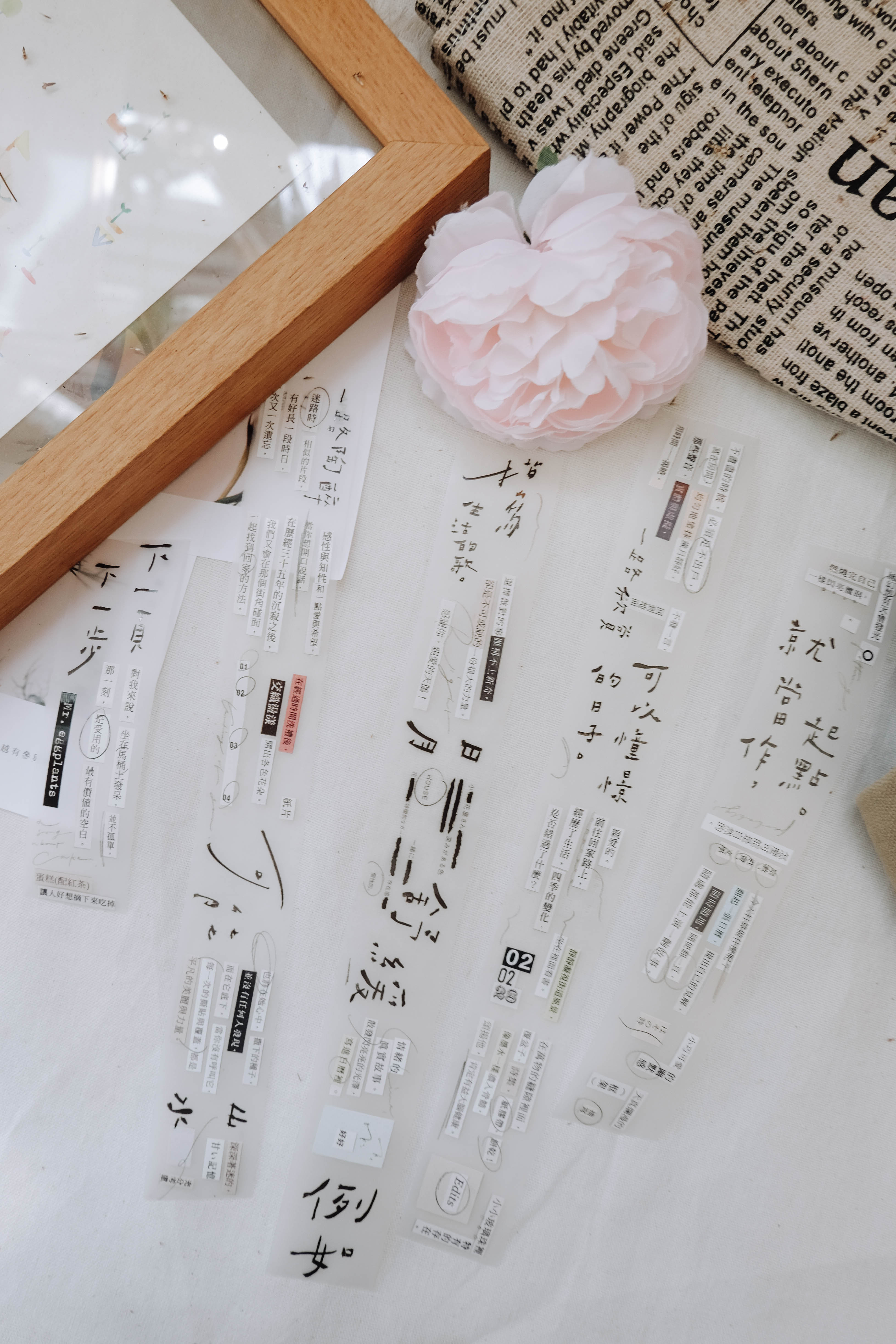 Mr. Eggplants - Paper Poems PET Tape