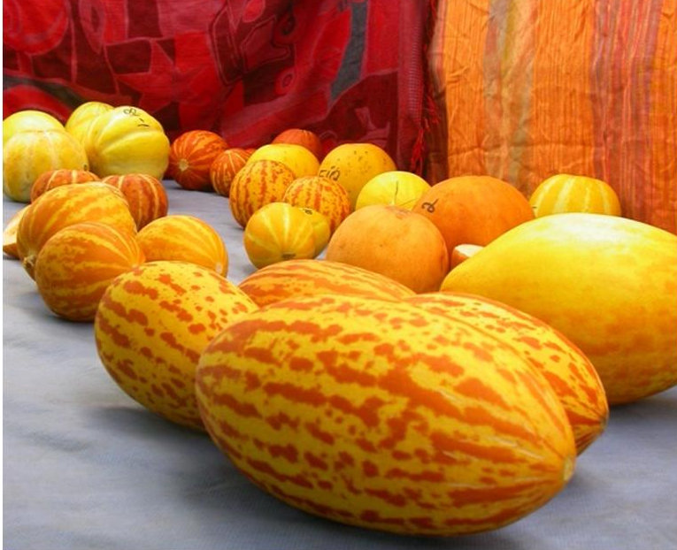 Melon Gallery | Israel | MelonArt