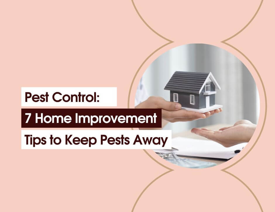 Pest Control: 7 Home Improvement Tips to Keep Pests Away