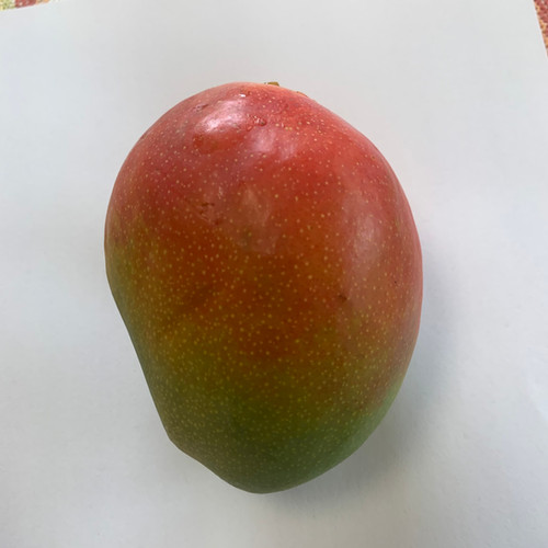 Zill O-15 | Tropical Acres Farms