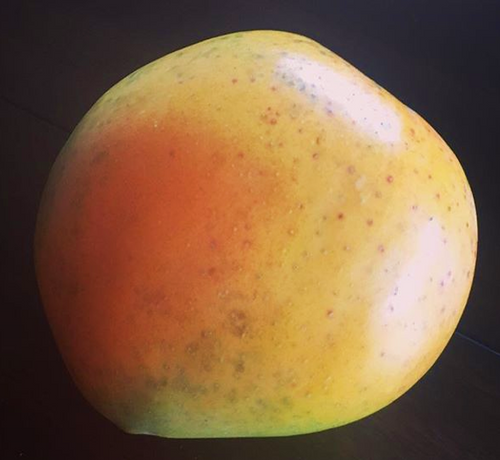 White Piri | Tropical Acres Farms