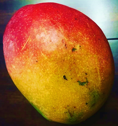 Zill | Tropical Acres Farms