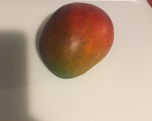 Rapoza | Tropical Acres Farms