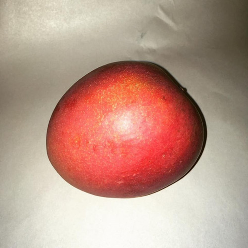 Manzanillo | Tropical Acres Farms