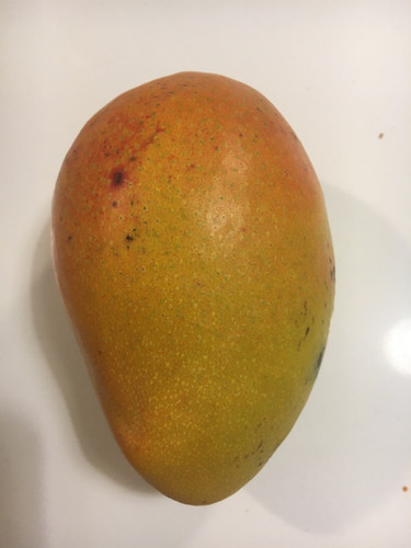 Rosigold | Tropical Acres Farms