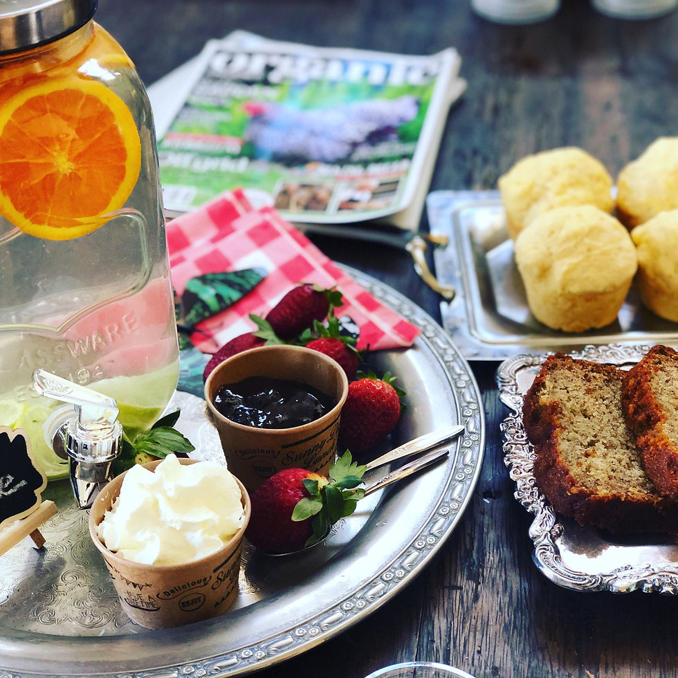 SCONE BOX | NATURE DOMES NSW