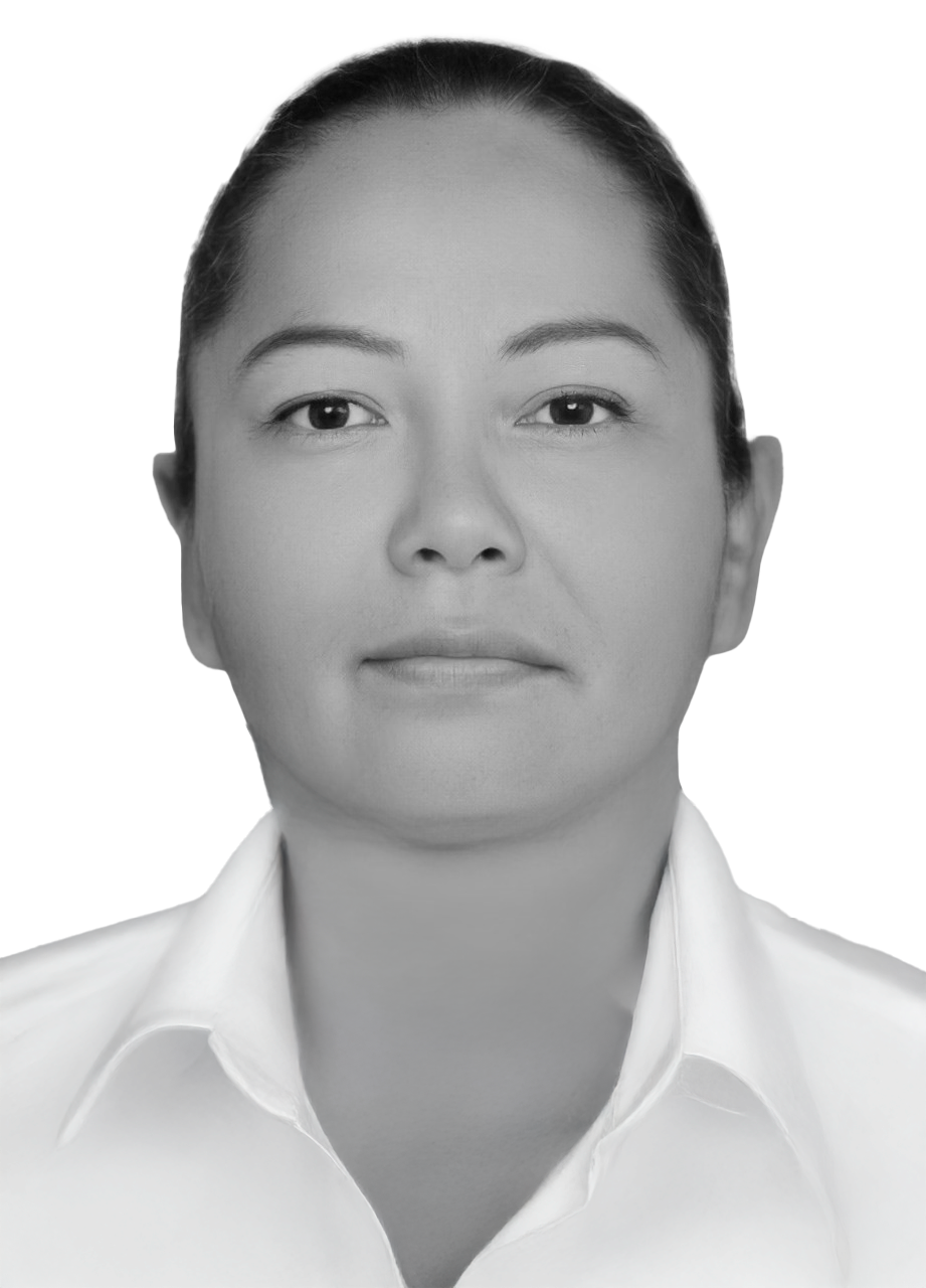 DULCE SUGEY ESTRADA MAYA | Amevan