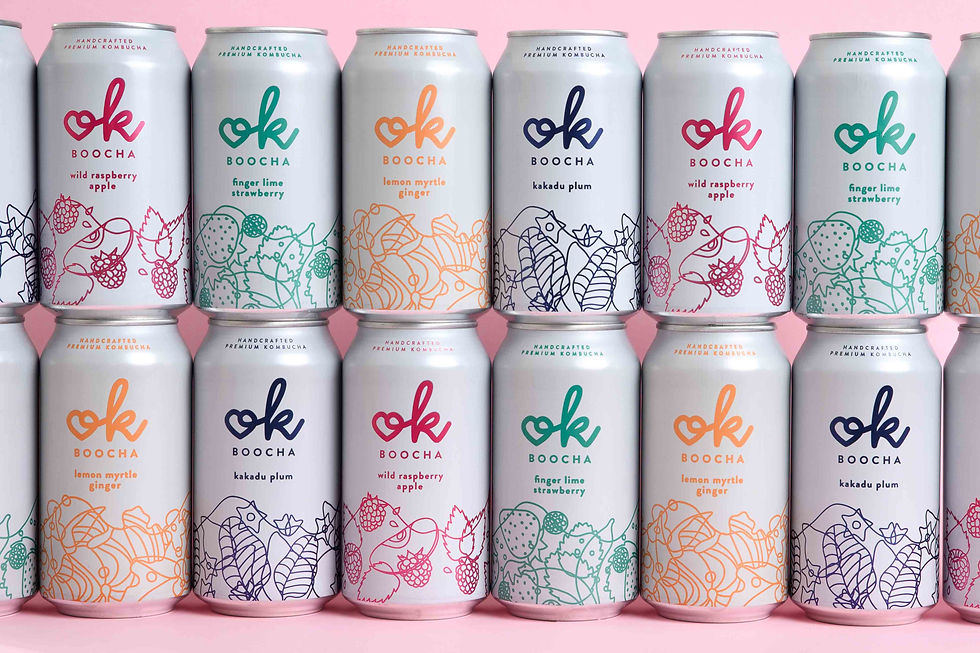 Ok Boocha | Kombucha