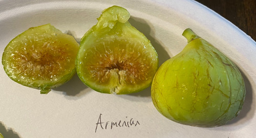 Armenian | Coastal Fig Company