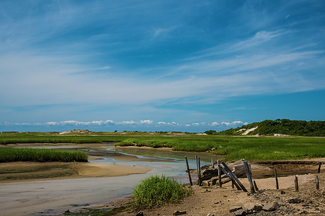 Larry Frankel Photography | Landscape Photographer