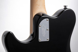 AX40 | Sterling by MusicMan