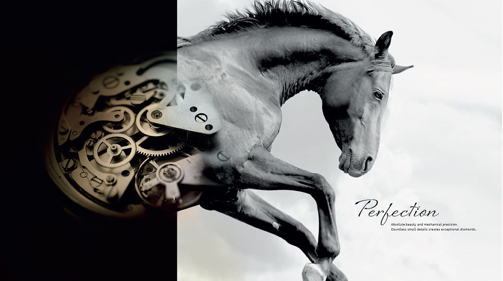 MS Diamonds | Special-Edition