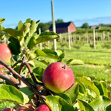 Book An Event | Lookout Farm