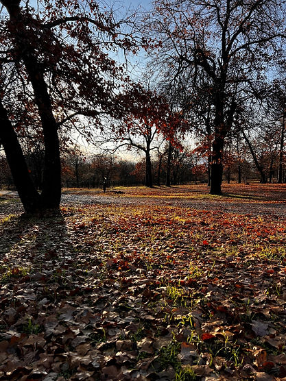 Home | Fannie Jane Ranch | Cabin Rental